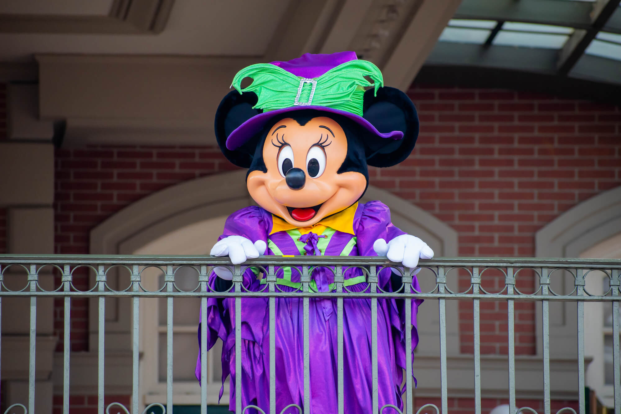 What to Wear to Disney World in October - Wear When What Why