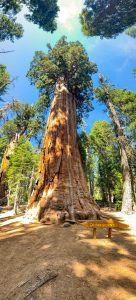 Sequoia Packing List - Wear When What Why